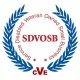 VOSB/SDVOSB Certification | Government Services Exchange